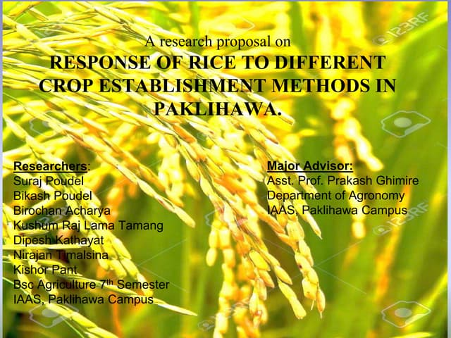 System of rice Intensification (SRI) | PPTX