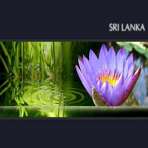 Sri Lanka | PPS