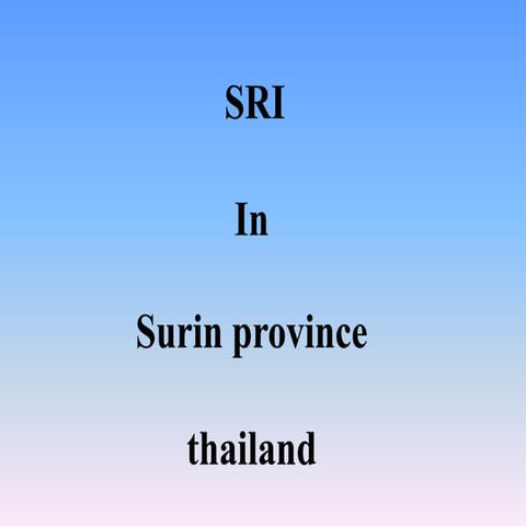 SRI in Surin province Thailand | PPT