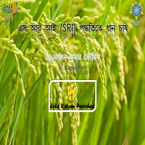 Sri technology rice | PDF