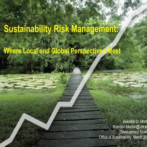 Sustainability Risk Management: Where Local and Global Perspectives ...