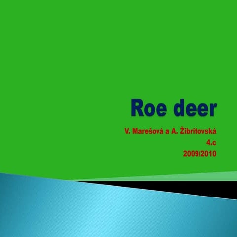 Roe Deer | PPT