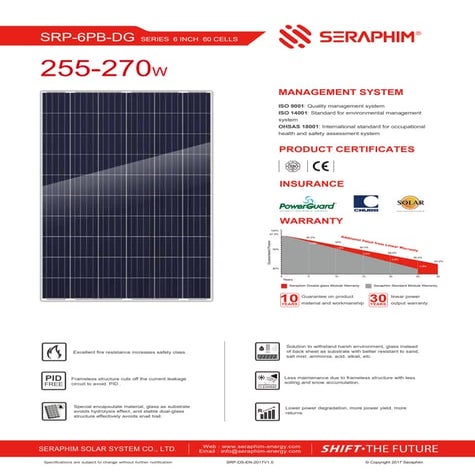Srp 6 pb-(255-270)-dg-en | PDF | Business | Business and Finance