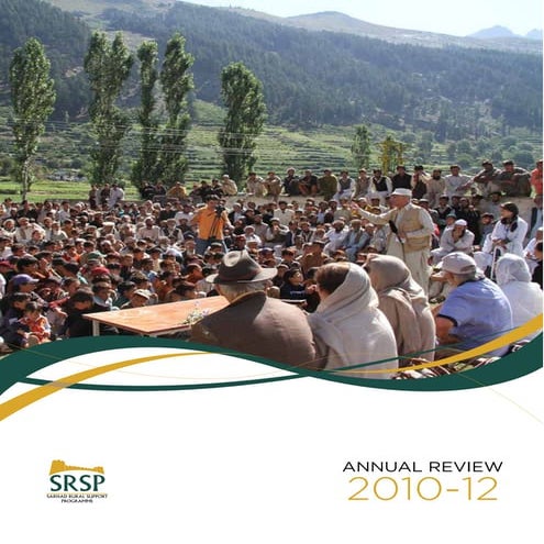Srsp annual review | PDF