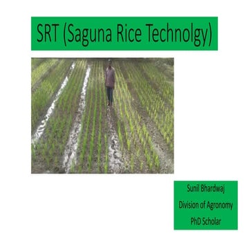 Srt (saguna rice technolgy) | PPTX