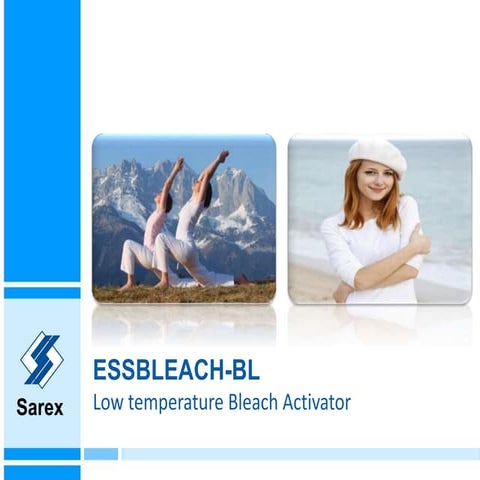 Essbleach-bl | PPTX