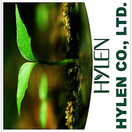 Hylen Co., LTD | PDF
