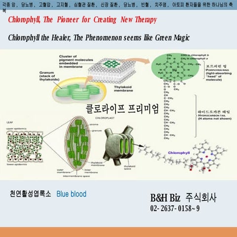 chlorophyll | PPT