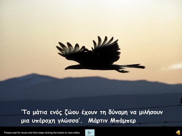 9 ΑΦΙΕΡΩΜΑ ΣΤΑ ΖΩΑ (1).pdf