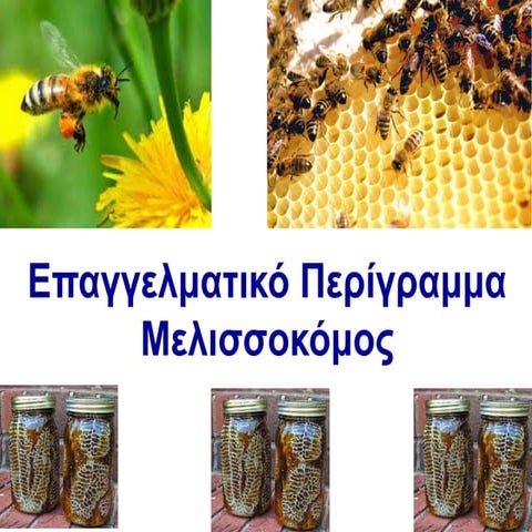 Επαγγελματικό Περίγραμμα Μελλισοκόμου | PPTX