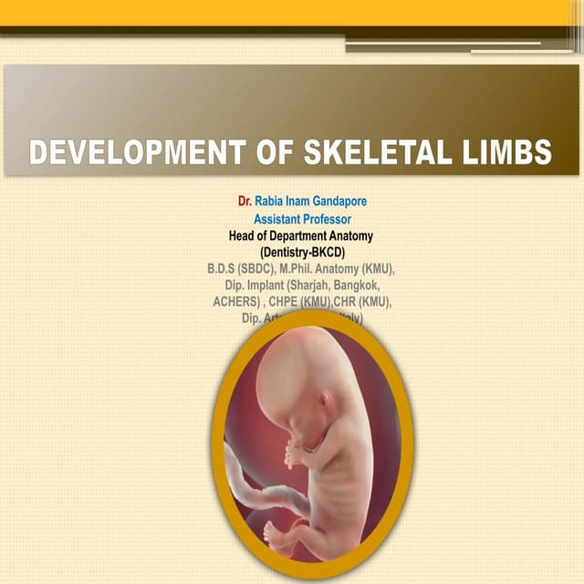 ss-Development of Limbs by Dr. Rabia Inam Gandapore 43s.pptx