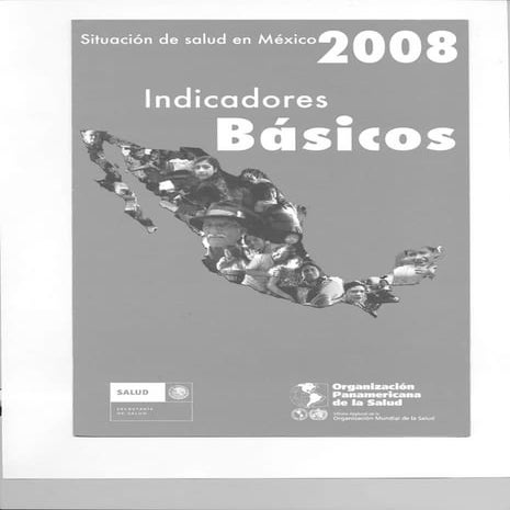 Ss ib 2008 | PDF