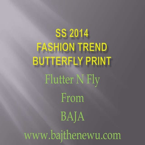 Ss2014 flutter n fly | PPTX
