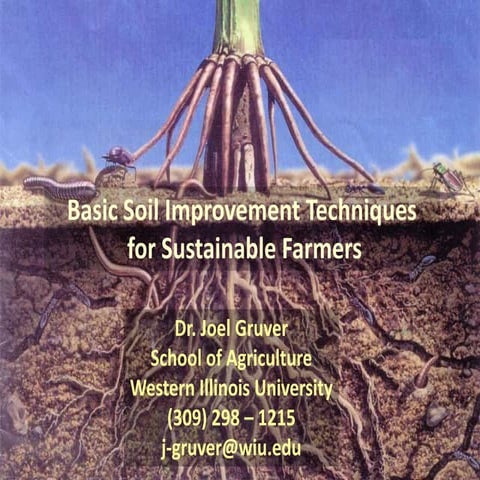 Basic soil improvement | PDF