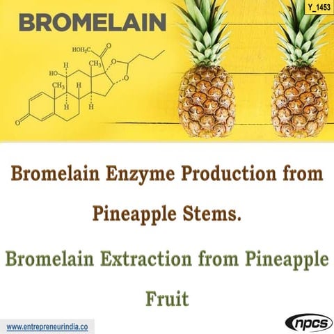 Bromelain Enzyme Production from Pineapple Stems | PPTX