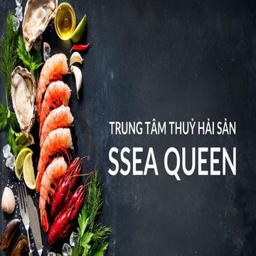 Sea Queen's Digital Communication Plan Sample | PDF