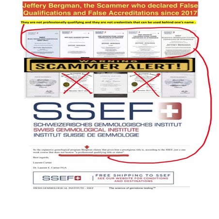 The Jewelry Judge Network | PDF