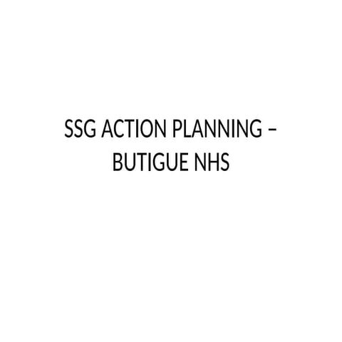 SSG_Action_Planning_Presentationjhdfviv.pptx