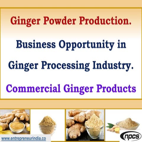 Ginger Powder Production | PPT