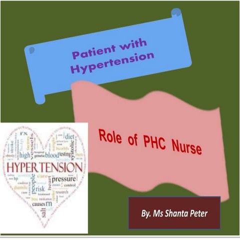 ASSESSMENT FAMILY NURSING CARE PLAN (CHN).docx