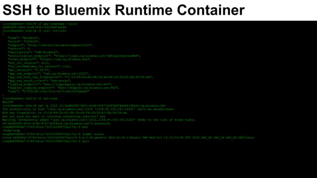 Ssh To Bluemix Runtime Container Ppt 3663