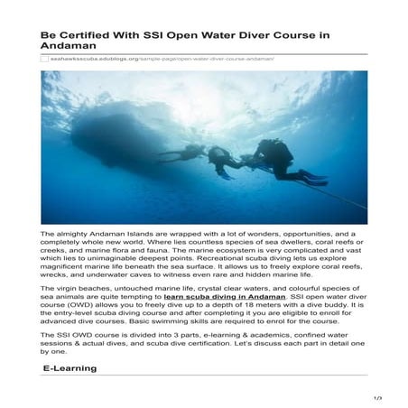 Learn SSI open water diver course in Andaman | PDF