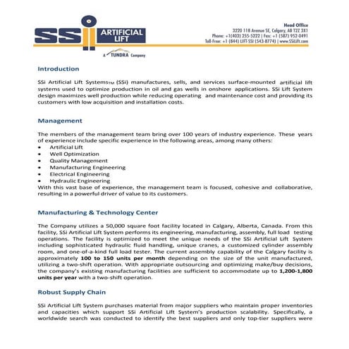 Ssi tech introduction | PDF