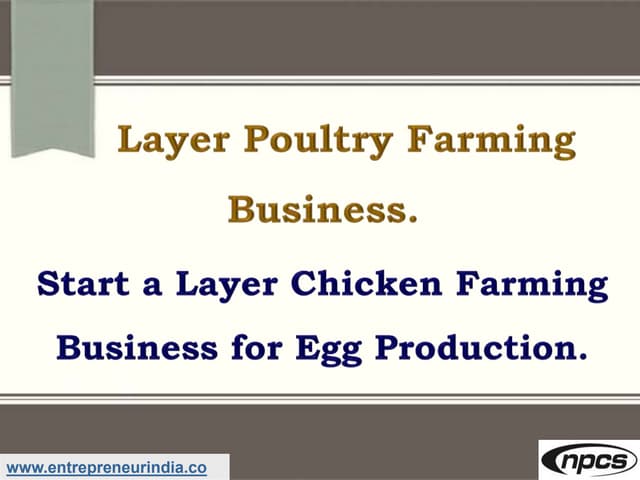 BUSINESS PLAN FOR A POULTRY FARM INVESTMENT | DOC