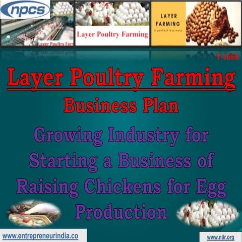 Layer Poultry Farming Business Plan. | PPTX