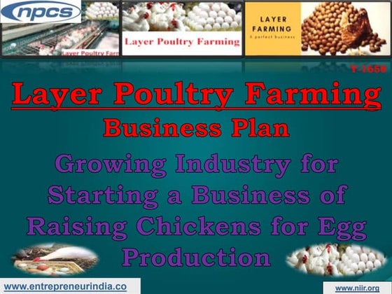 Broiler Poultry Farm Construction Guide | PPT