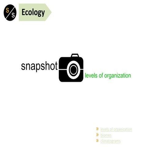 Ss lesson levels of organization | PPTX