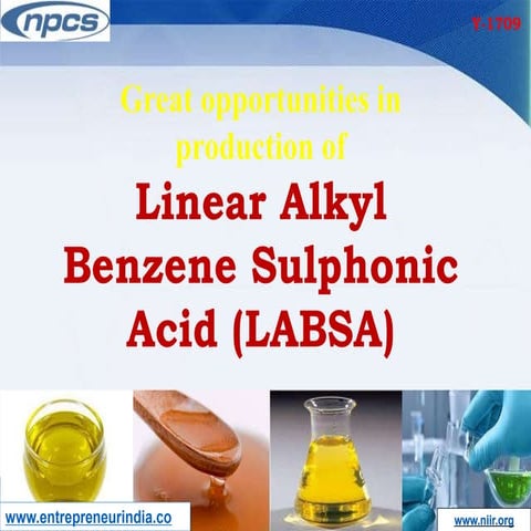 Great opportunities in production of Linear Alkyl Benzene Sulphonic ...