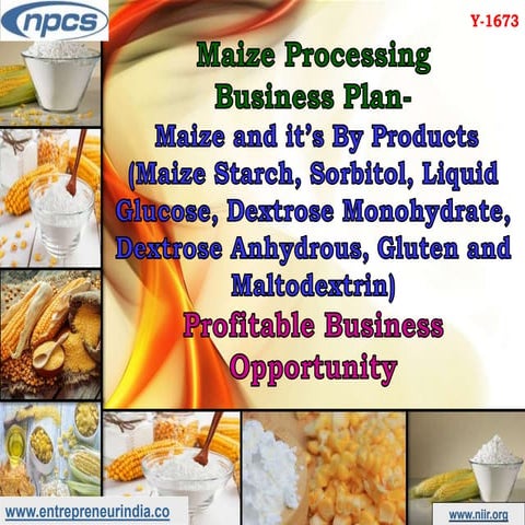 Maize Processing Business Plan- Maize and it’s By Products | PPTX