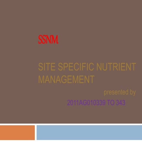 SSNM.pptx