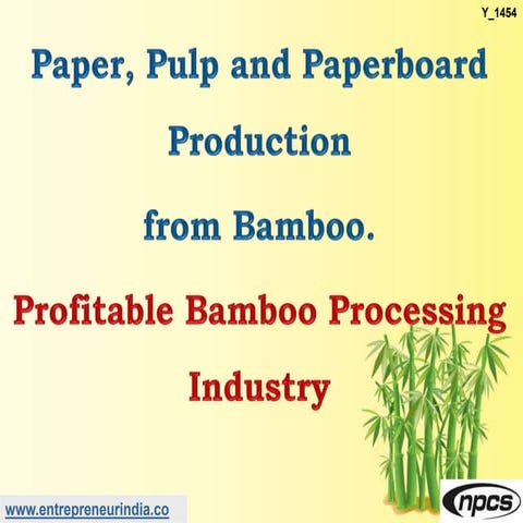 Paper, Pulp and Paperboard Production from Bamboo | PPTX