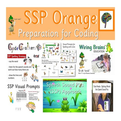 SSP for Schools Doc | PDF