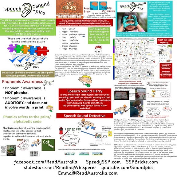 SSP Overview Poster - What is SSP? | PDF