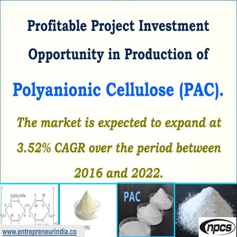 Profitable Project Investment Opportunity in Production of Polyanionic ...