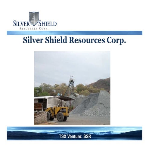 Silver Shield November 2010 Investor Presentation | PDF