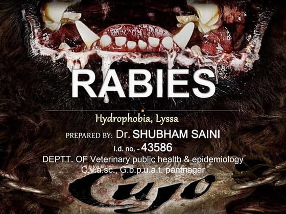rabies jhvjjhvjjhvjjhvjjhvjjhvjjhvj1.pptx