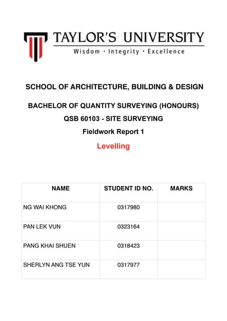 Levelling report | DOCX
