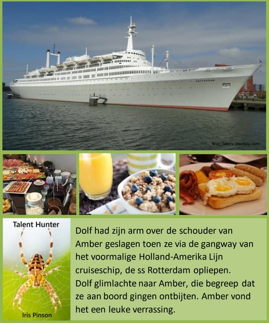 Amber was geïrriteerd - Talent Hunter - Iris Pinson | PDF