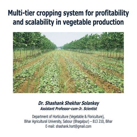 Multitier cropping system for profitability and scalability in ...