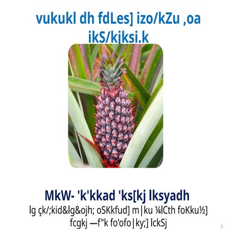 Pineapple varieties, propagation and plantation | PPTX