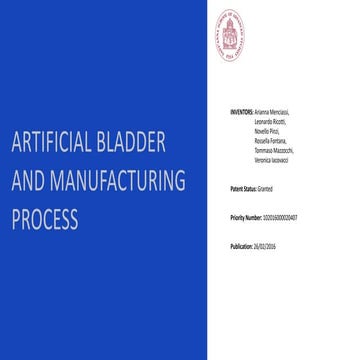 ARTIFICIAL BLADDER AND MANUFACTURING PROCESS | PDF
