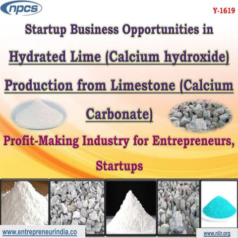 Startup Business Opportunities in Hydrated Lime (Calcium hydroxide ...