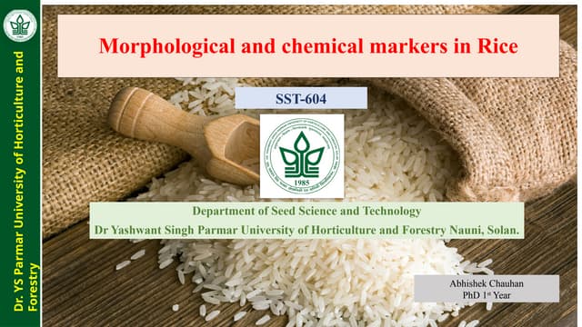 Paddy varietal characters | PDF