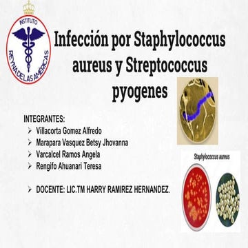 Staphylococcus, Streptococcus, Enterococcus, Bacillus (1).pptx