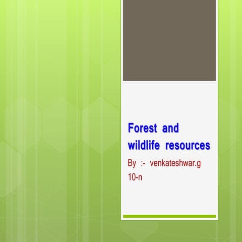 forest and wildlife 10 ppt | PPTX | Geography | Science