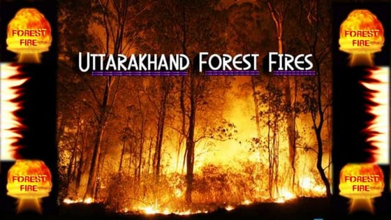 Uttarakhand Forest Fire.pdf